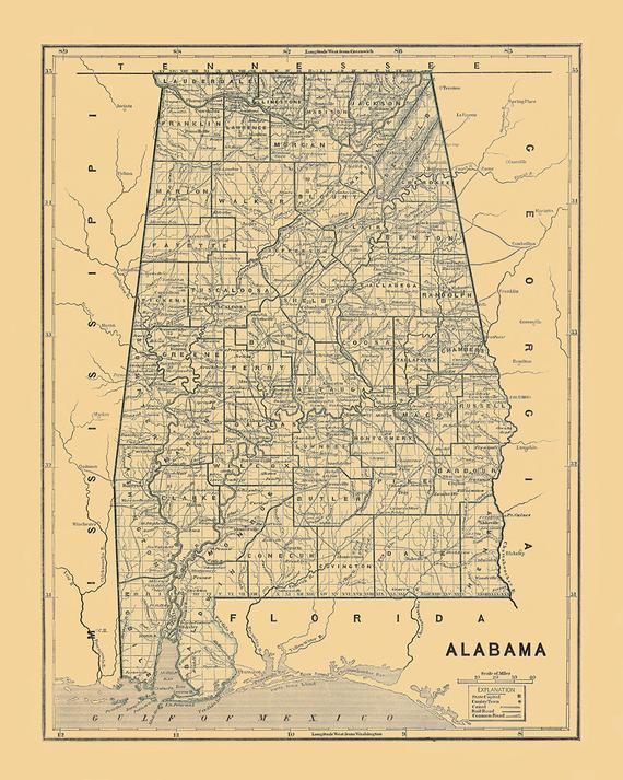 2023 Alabama Timber Market Update - American Timber and Agriculture