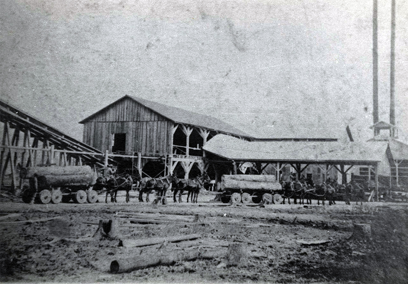 ‘Money Grows On Trees and In Trees’: Brewton Timber Industry - American ...